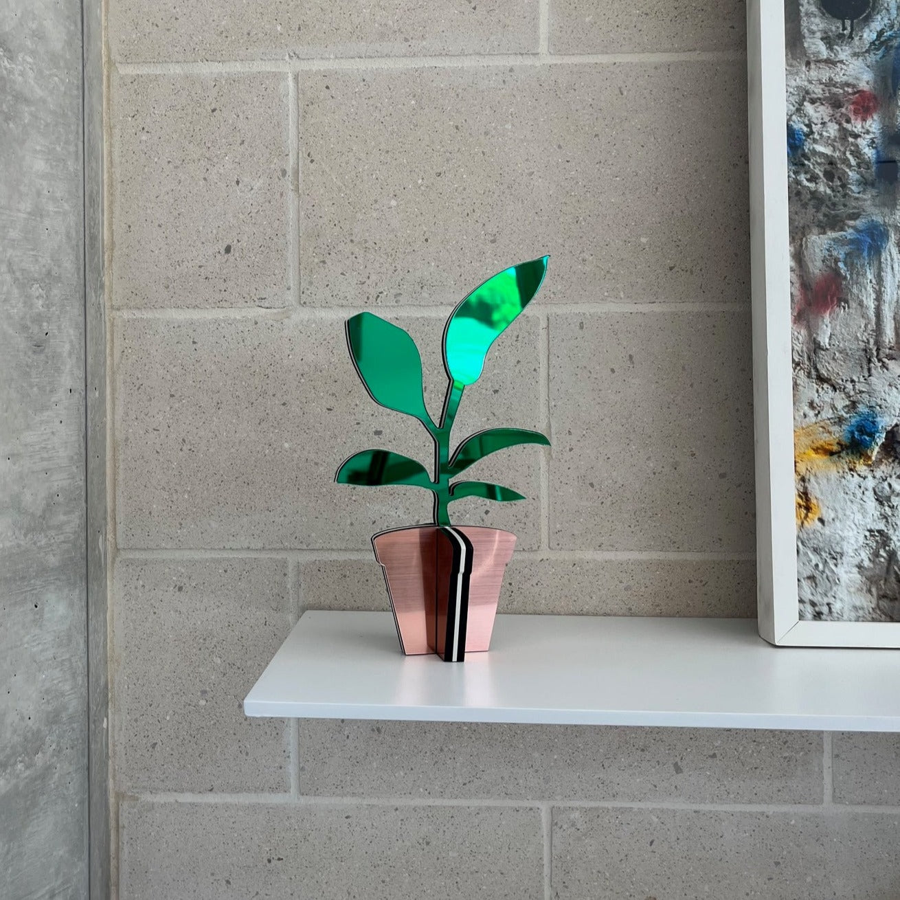 Plant – Reish.co