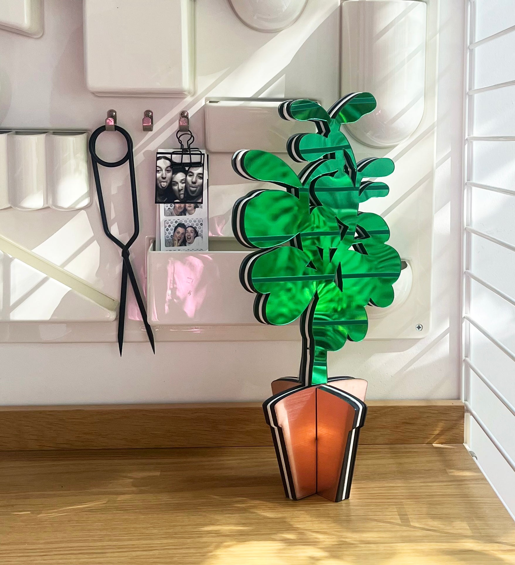 LuminaBotanica – Reish.co